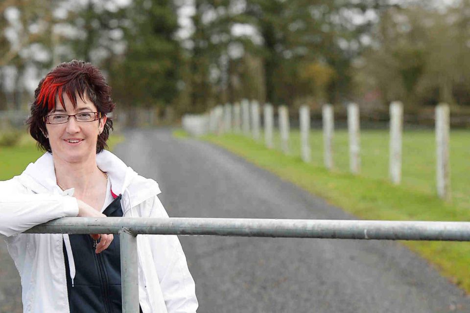 Suicide risk among farmers an urgent issue warn agencies | Irish ...