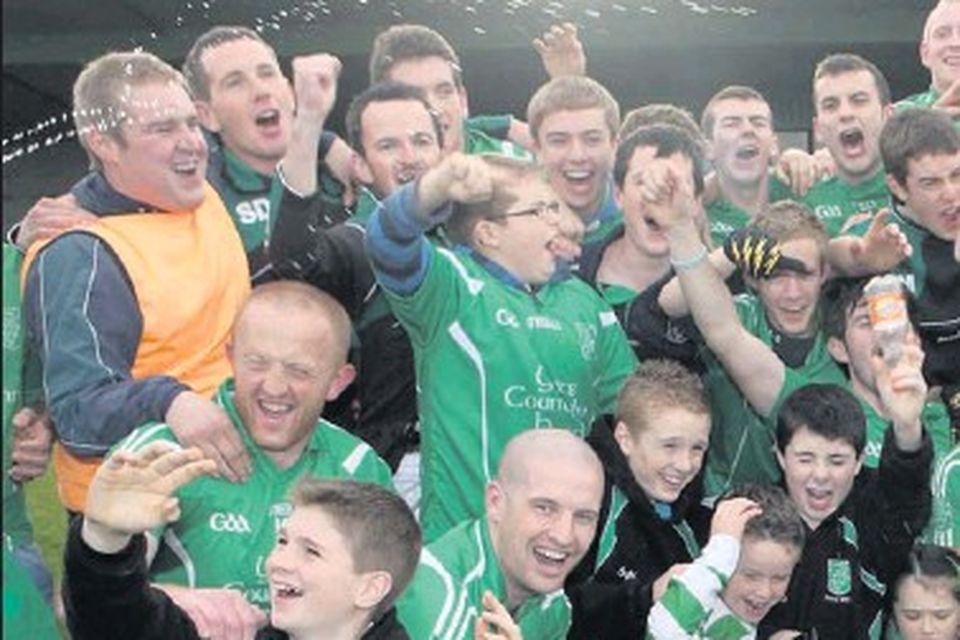 Curry too hot to handle for St Mary's in County Final | Independent.ie