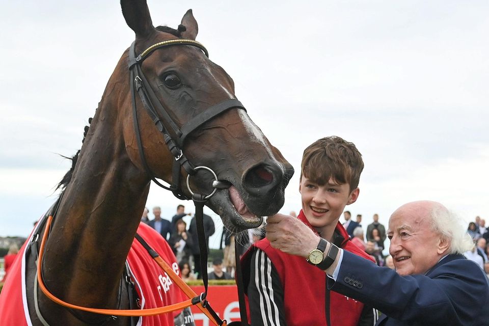 John ‘Shark’ Hanlon hoping Hewick can raise the roof in Kerry National ...