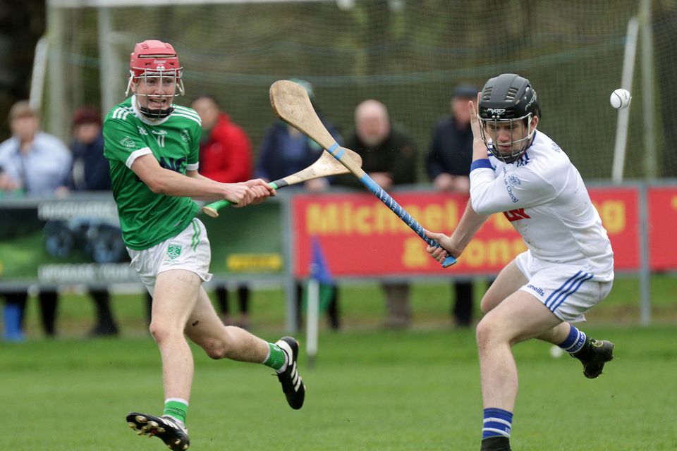 Brilliant Crossabeg-Ballymurn crush Ballyhogue in final | Irish Independent