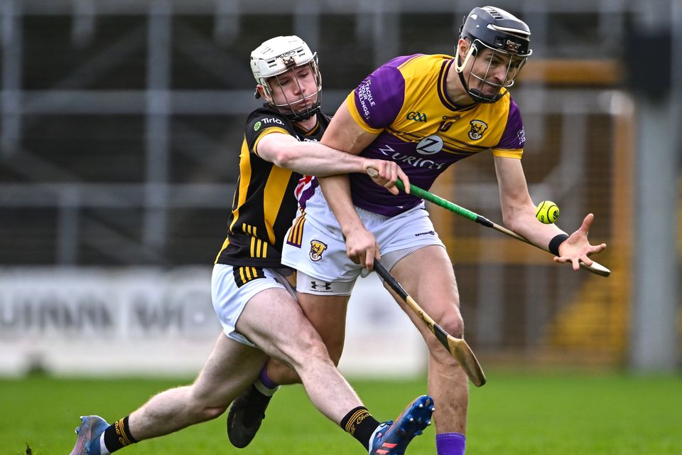 Wexford’s history always gives them chance against Cats, insists Billy ...