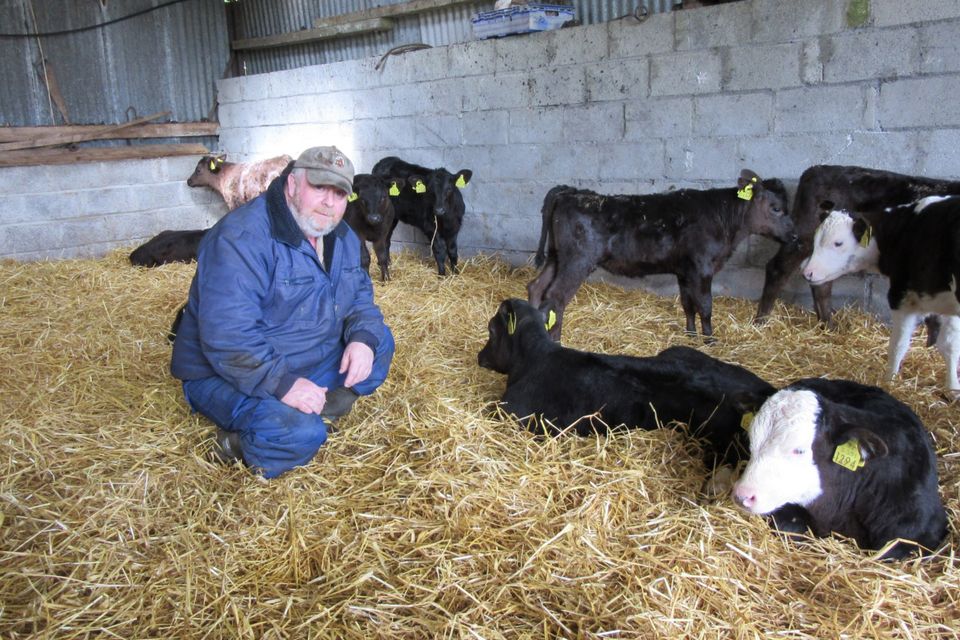 Planning for higher output | Irish Independent