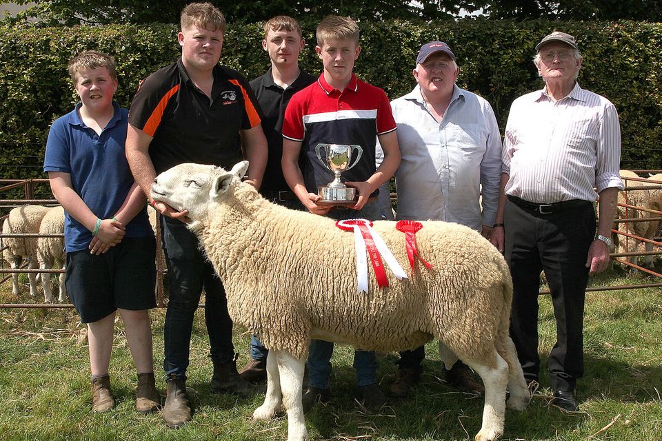 Return of Carnew show sees huge crowd gather for a day of entertainment ...