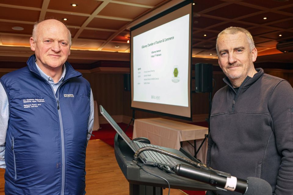 Action plan in place in Killarney National Park to prevent another ...