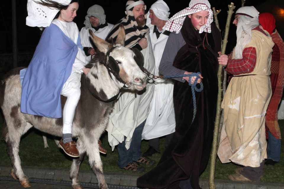 Animal magic at Bannow moving crib | Irish Independent