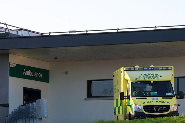 Wexford woman lucky to be alive after being struck by taxi on a night ...