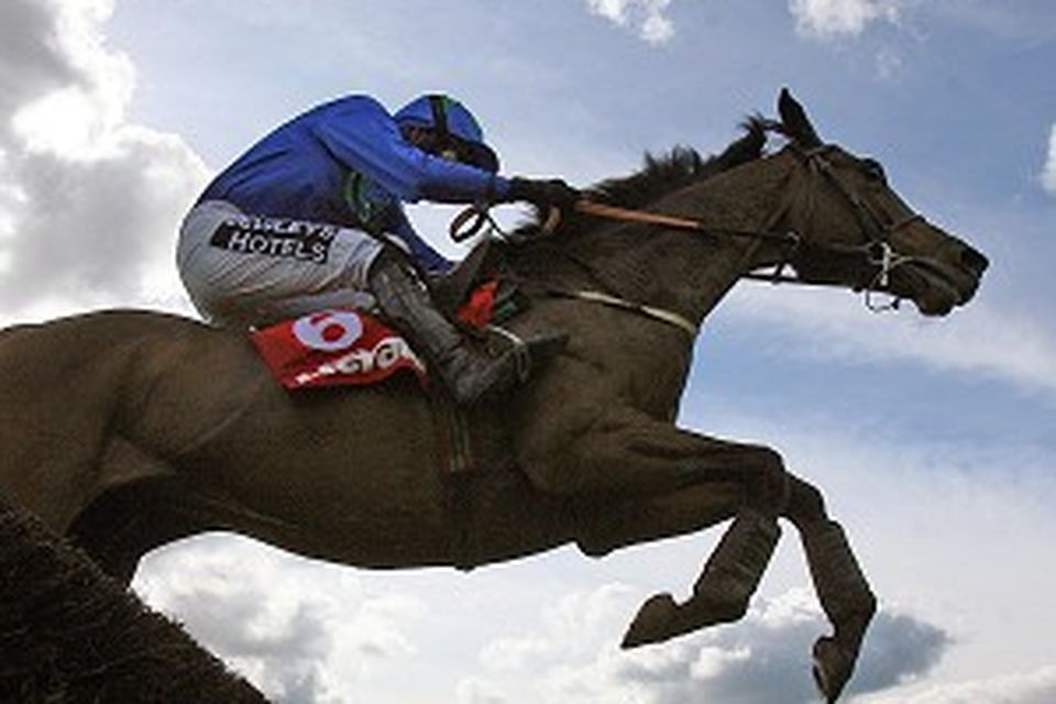 Super Fly graces Fairyhouse | Irish Independent