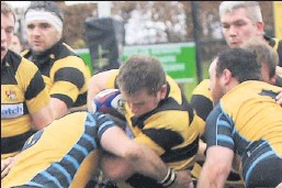 Late Clondalkin try sinks Carlow | Irish Independent