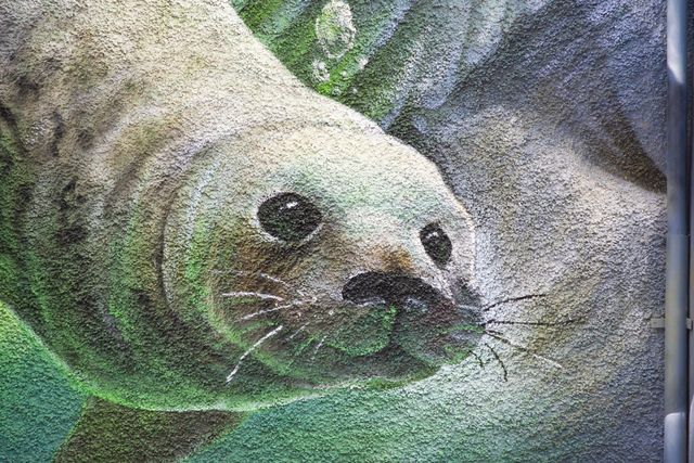 Stunning new sea-themed murals unveiled in Wicklow town | Irish Independent