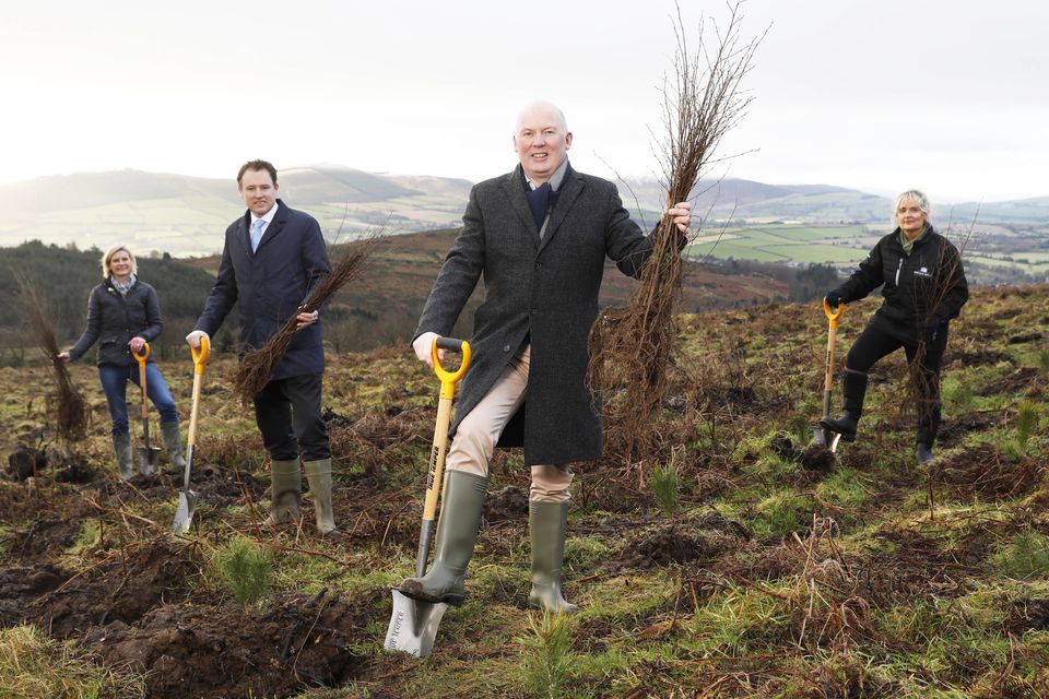 No more ‘greenwashing’ as firms face coming clean on their carbon ...