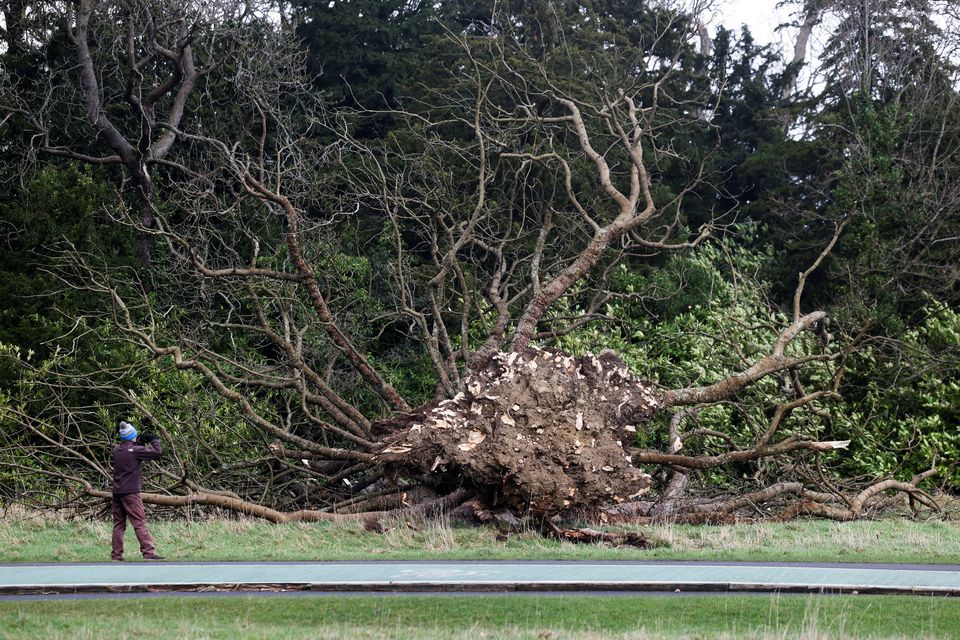 Terrifying Wind Storms