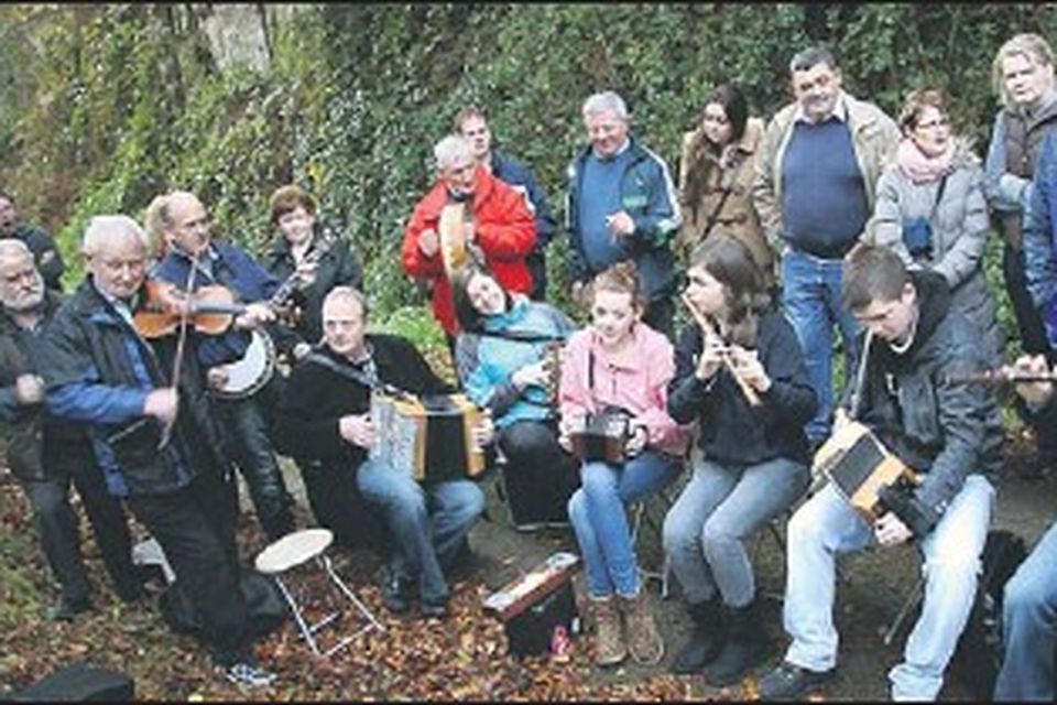 Tree planting marks 40 years of Templeglantine Comhaltas | Irish ...