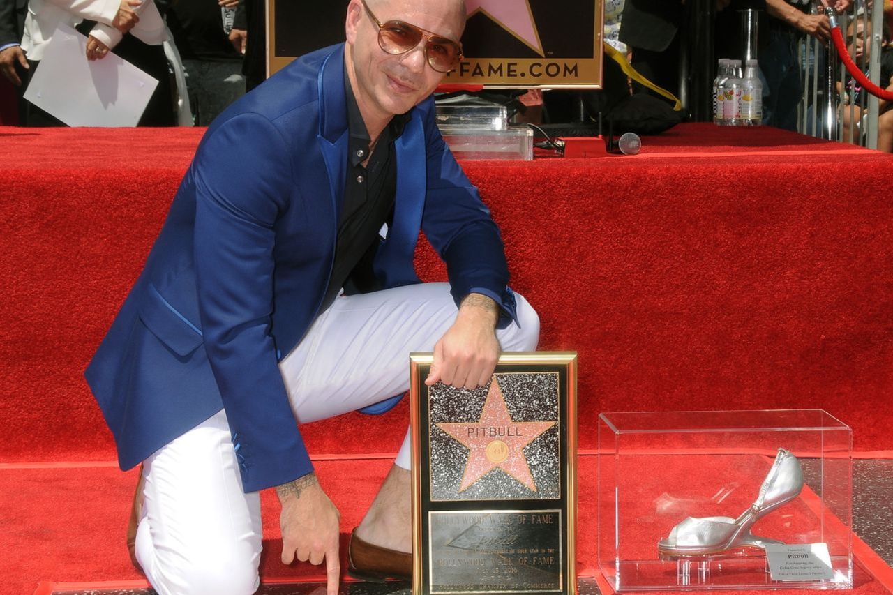 Pitbull announces concert in Dublin, Ireland for 2025 | Irish Independent