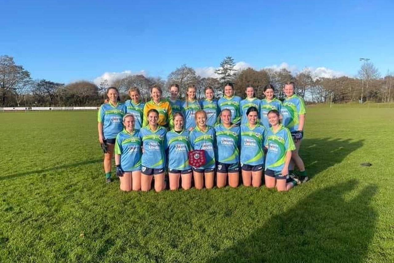Glynn-Barntown give fine display on the way to Junior 'C' shield final ...