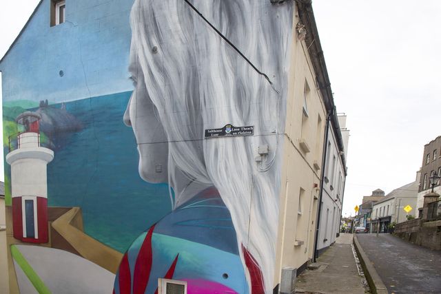 See photos as stunning new Wicklow town murals take shape | Irish ...