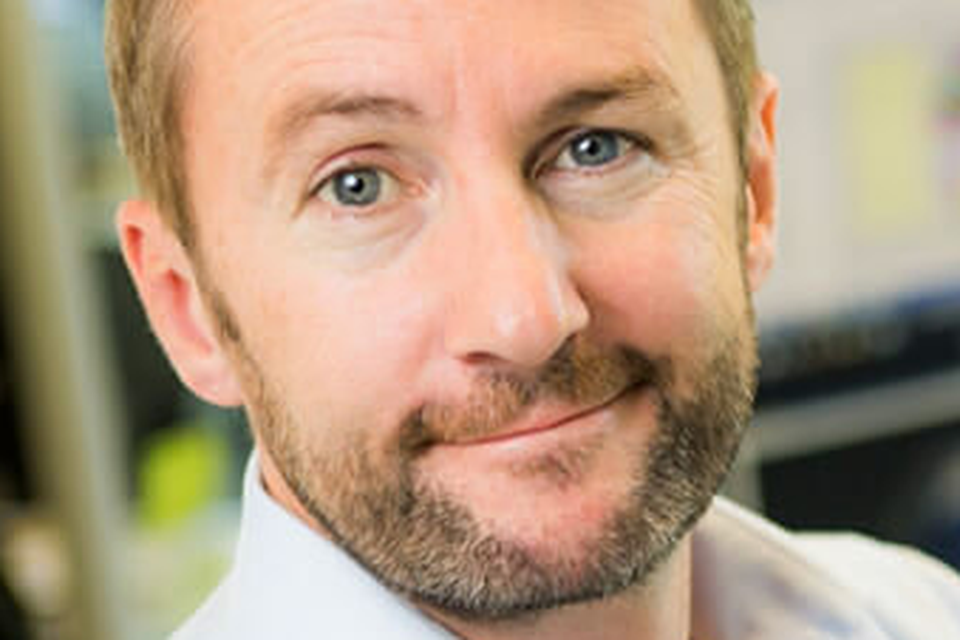Datalex taps tech star Bobby Healy for new role | Independent.ie