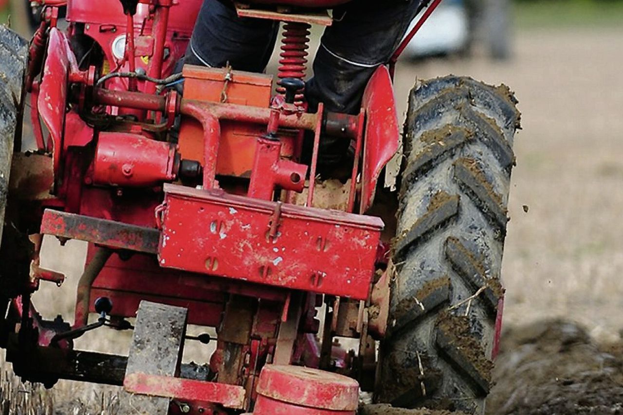 Plough masters at work at local championships | Irish Independent