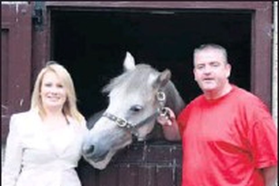 Fun begins on the farm | Irish Independent