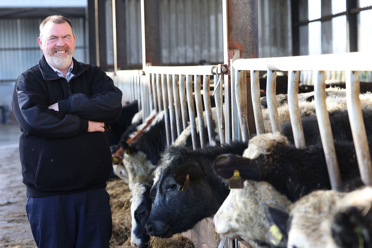 How this Meath farmer changed his ?dosing strategy to avoid build-up of ...
