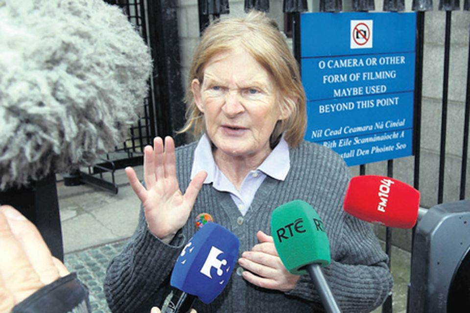 Judge jails woman for power-line disruption | Independent.ie