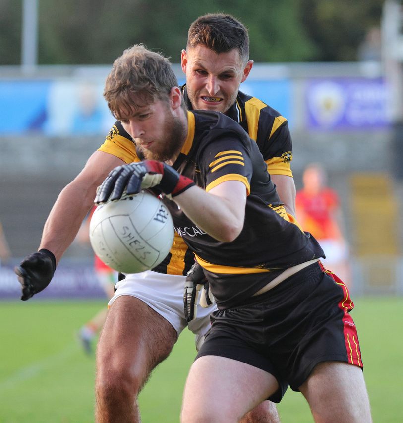 Shelmaliers saunter to victory as Starlights lose again in low-key tie ...