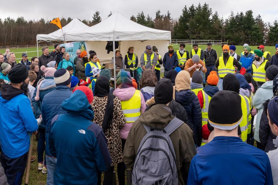 See photos as new Wicklow forest named in honour of refugees | Irish ...