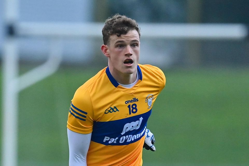 Goals from Paul Mathews and Paul Walsh enough for University Limerick ...