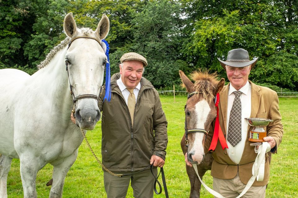 Kilmacanogue Horse Show held ‘behind closed doors’ | Irish Independent