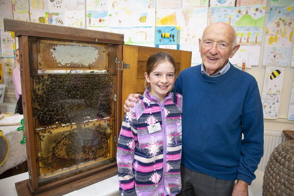 Ashford beekeepers to celebrate 50th anniversary with oldest and ...