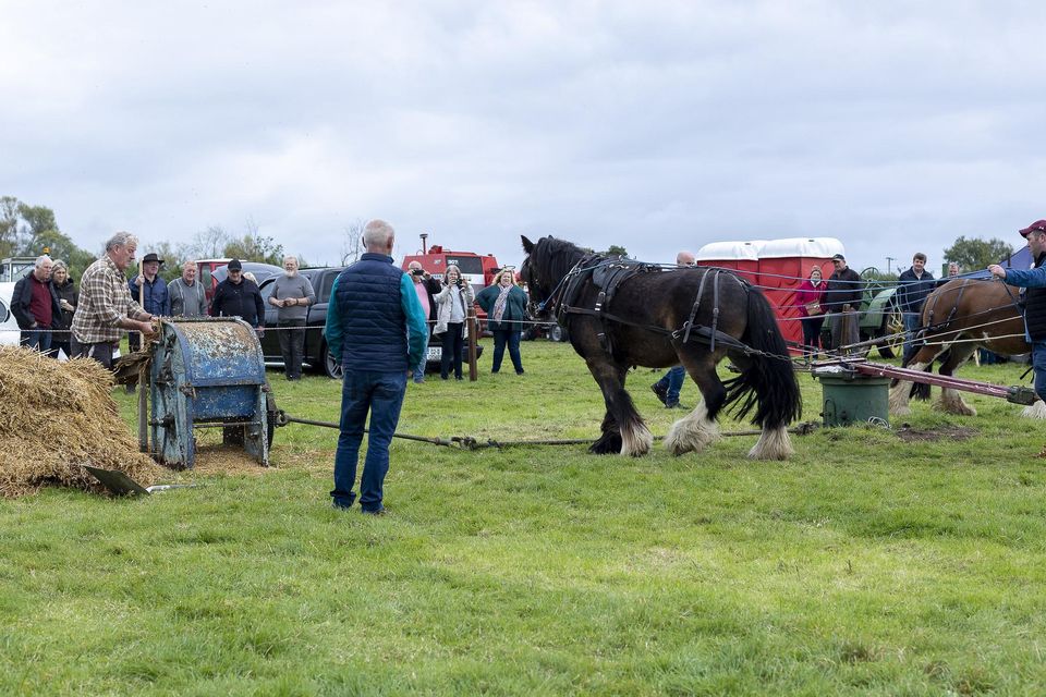Around the Districts: Baile ‘n Sceilg to Farranfore-Firies | Irish ...