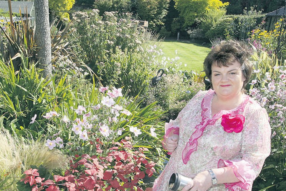 June gets the buzz | Irish Independent