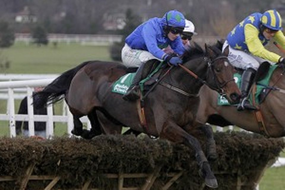 Fly in Champion equation | Irish Independent