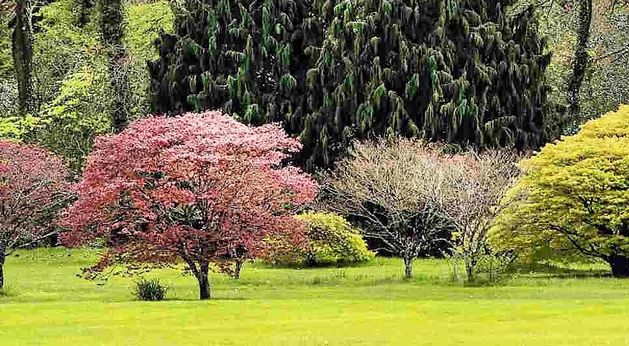 John F Kennedy Arboretum worth a visit | Irish Independent