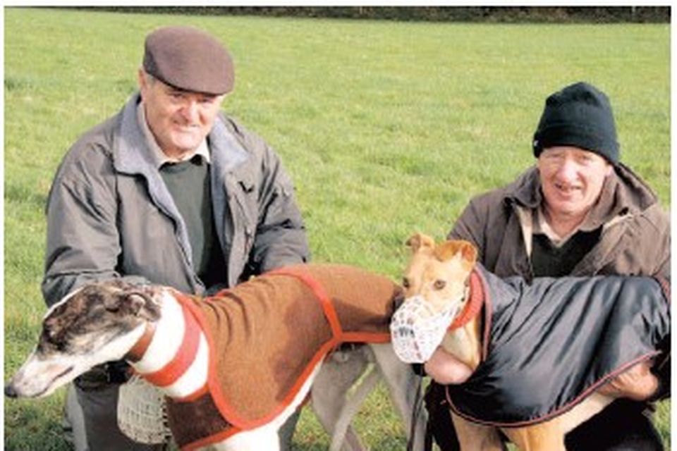 Boley a coursing mecca | Irish Independent