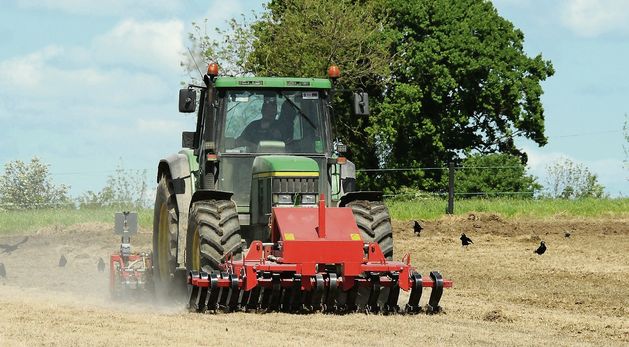 Why spring reseeding is an under-rated option | Irish Independent