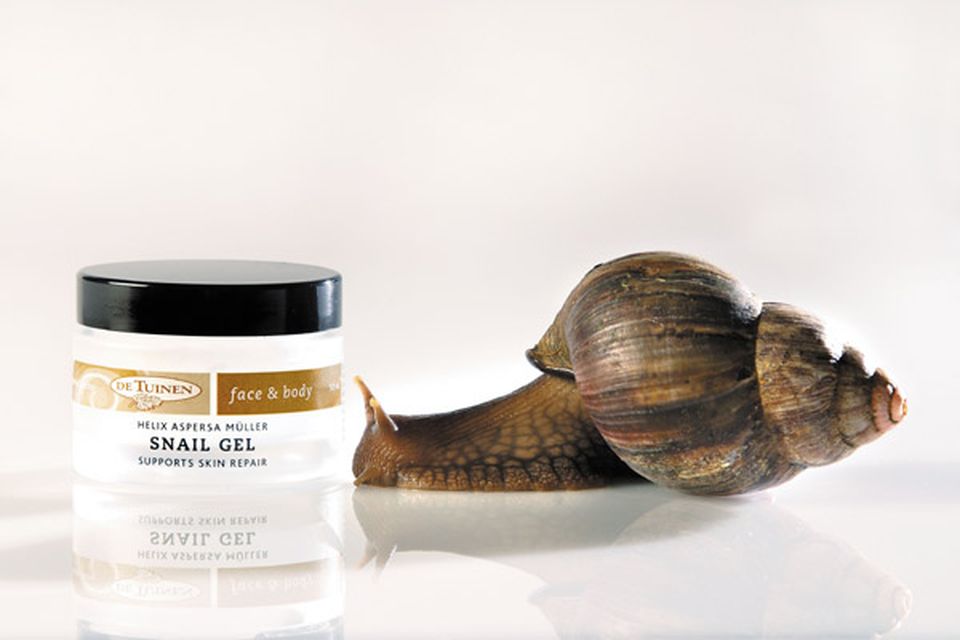 Extreme Beauty: Snail slime | Irish Independent
