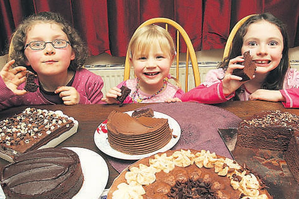 Put to the test: Chocolate cake | Irish Independent