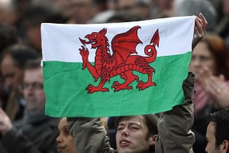 WRU unveil grass-roots initiative | Irish Independent