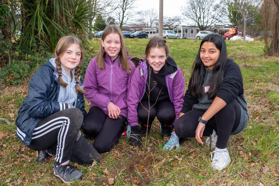 1,500 trees planted during Bray Tree Week | Irish Independent