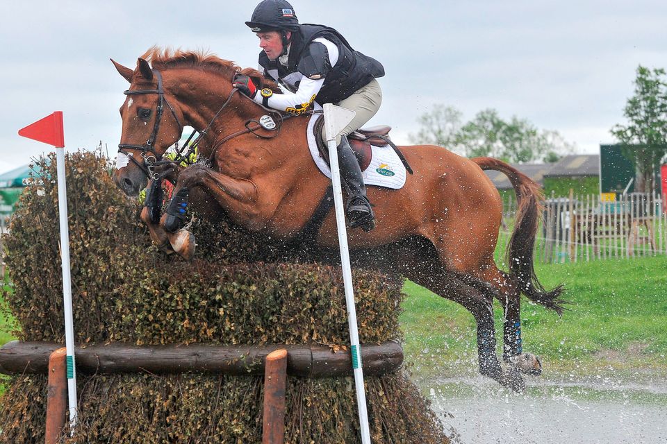 Irish now have sights set on World Equestrian Games | Irish Independent