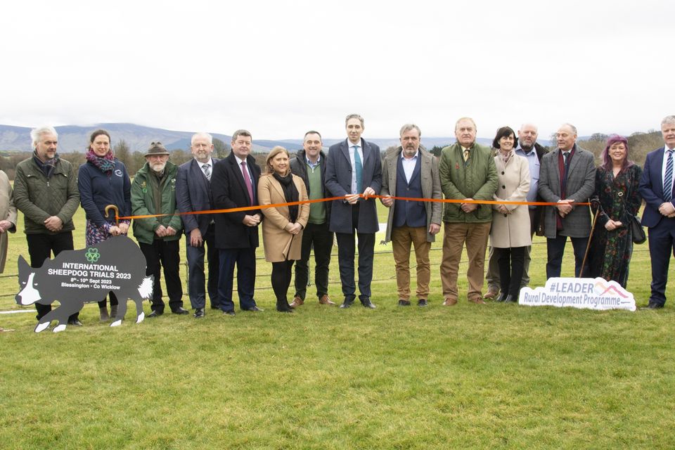 Farmers who saved Wicklow’s International Sheepdog Trials excited to ...