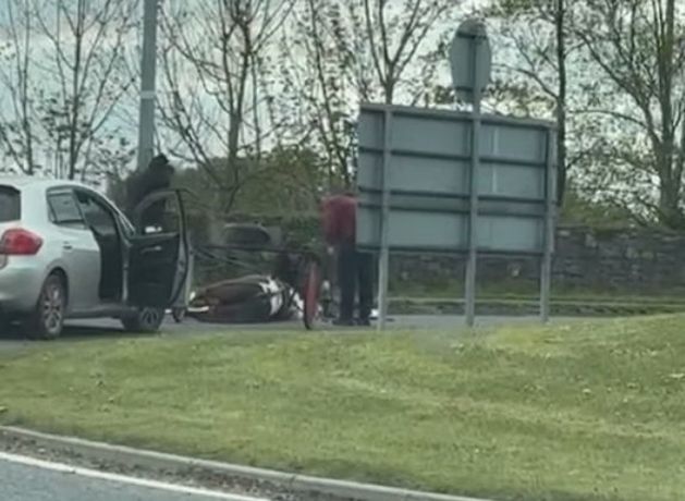 Animal welfare group calls for action after video shows horse collapsed ...