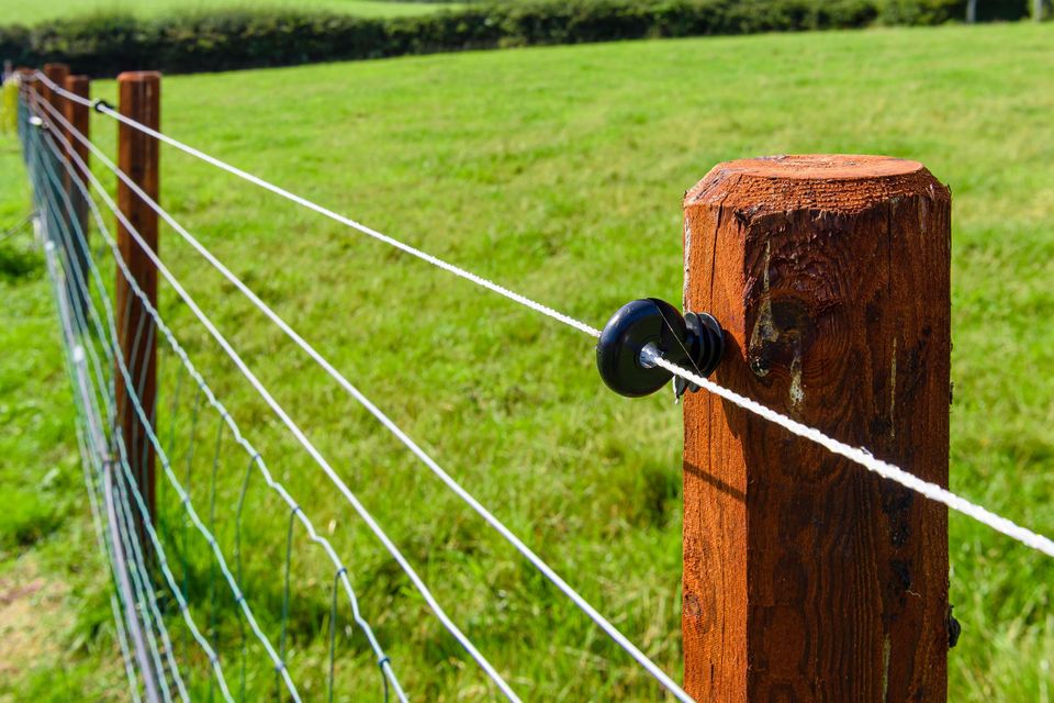 12 farm schemes open right now that all farmers should know about ...