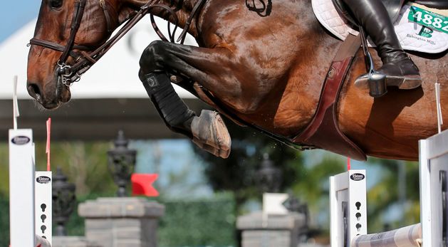 Fitting award on United States circuit for Babington | Irish Independent