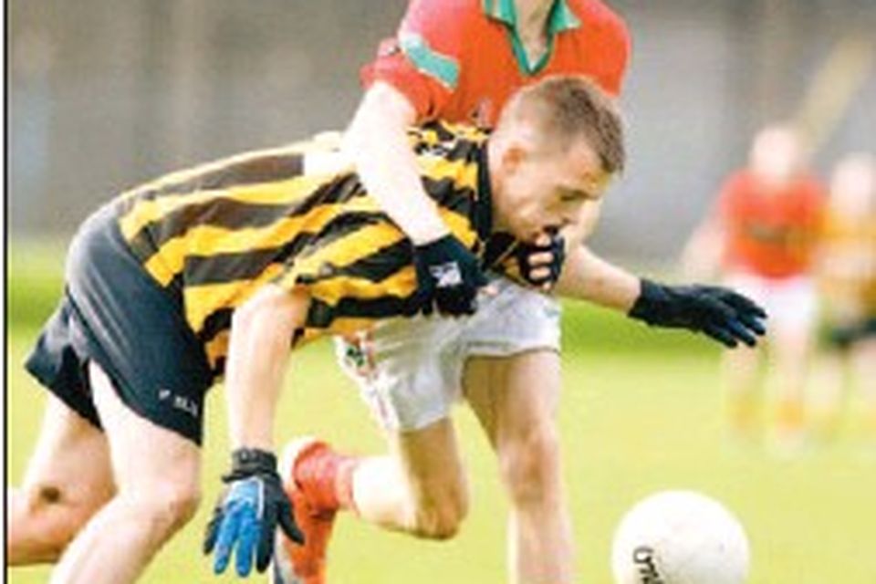 Rathnew rule roost | Irish Independent