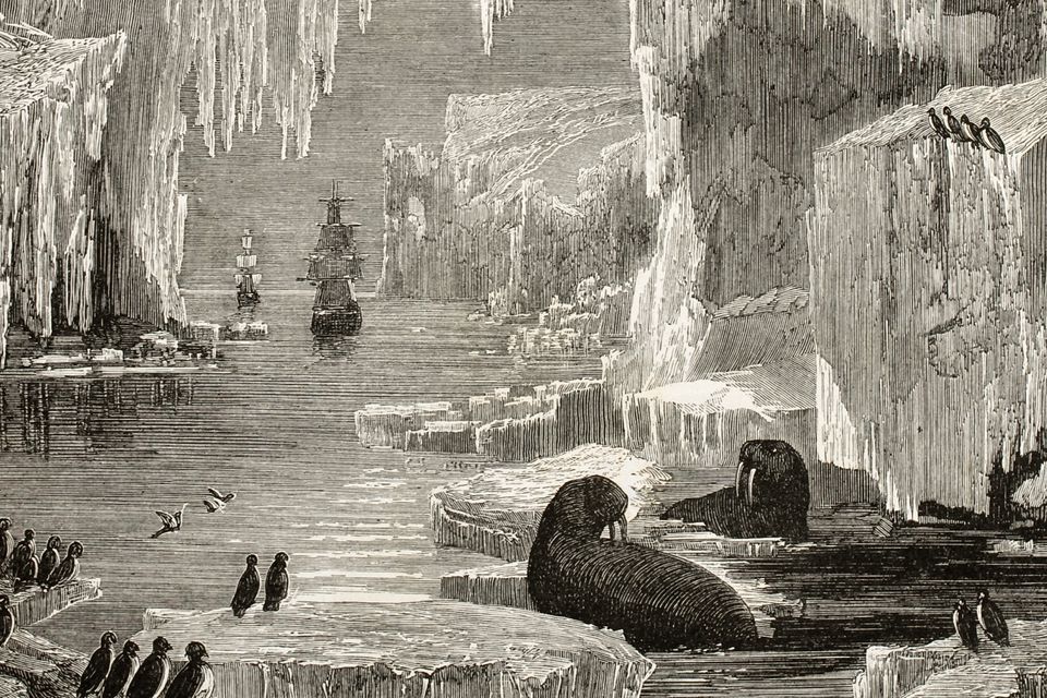 Deep dive into the tragic Franklin expedition reveals Arctic secrets ...