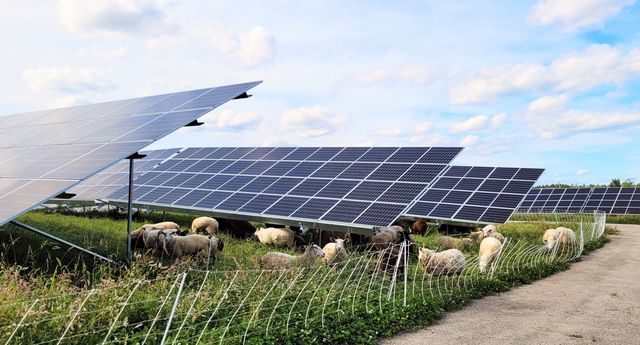 French renewable energy firm Neoen seeks buyer for Irish assets | Irish ...