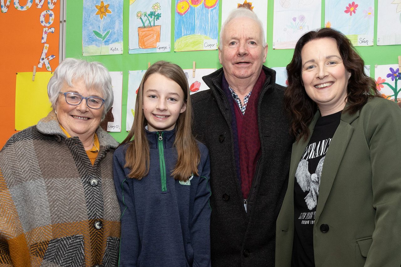 Around the Districts: Ballymurn to Marshalstown-Castledockrell | Irish ...