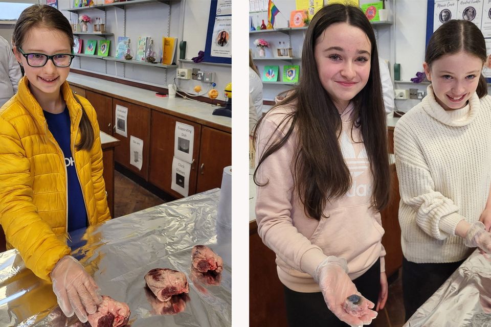 Presentation Castleisland Open Day – a mix of virtual and in-person ...