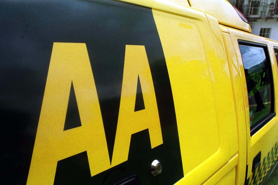 AA appoints permanent chief executive | Irish Independent